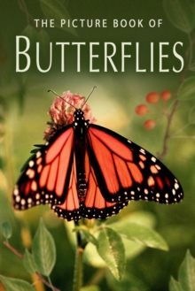 The Picture Book of Butterflies : A Gift Book for Alzheimer's Patients ...