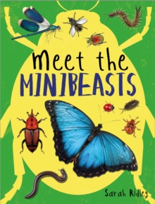 Meet the Minibeasts: Sarah Ridley: 9781526307392: TGJones