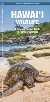 Hawai'i Wildlife, 2nd Ed: J M Kavanagh: 9781620056424: TGJones