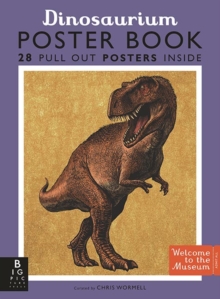 Dinosaurium Poster Book: Lily Murray: 9781783708864: TGJones
