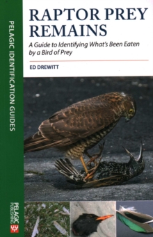 Raptor Prey Remains : A Guide to Identifying What’s Been Eaten by a ...