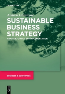 Sustainable Business Strategy : Analysis, Choice and Implementation ...