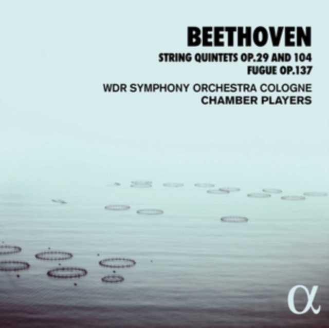 Beethoven: String Quintets, Op. 29 and 104/Fugue, Op. 137: ...