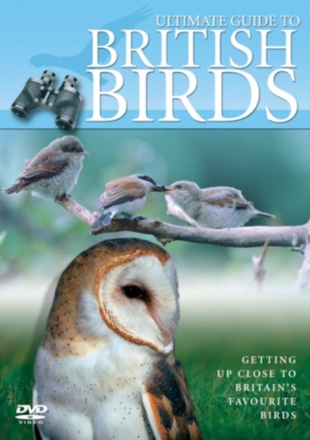 Ultimate Guide to British Birds: : 5023093067922: TGJones