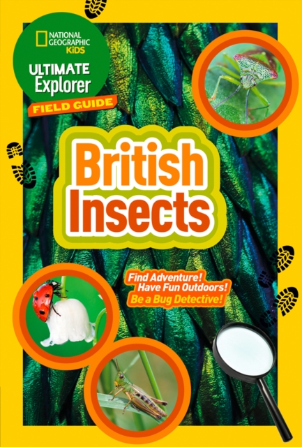 Ultimate Explorer Field Guides British Insects : Find Adventure! Have ...
