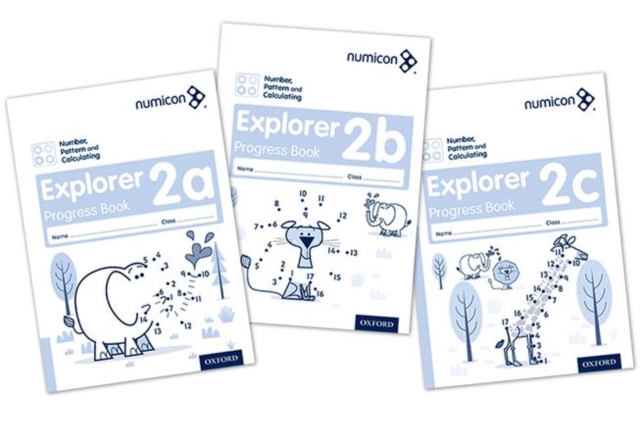 Numicon: Number, Pattern and Calculating 2 Explorer Progress Books ABC ...