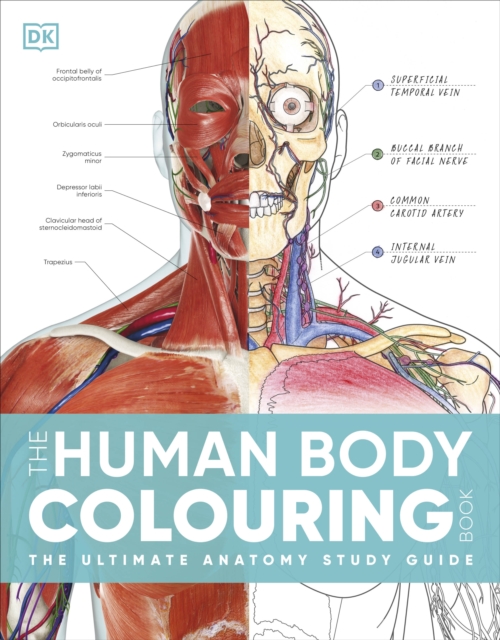 The Human Body Colouring Book : The Ultimate Anatomy Study Guide: DK ...