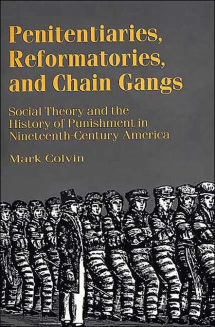 Penitentiaries, Reformatories, and Chain Gangs : Social Theory and the ...