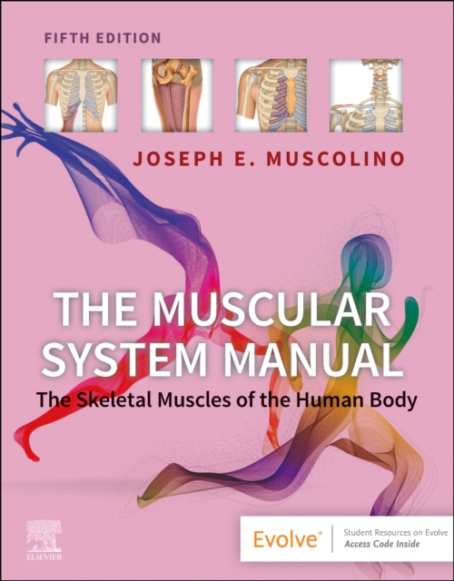 The Muscular System Manual : The Skeletal Muscles of the Human Body ...