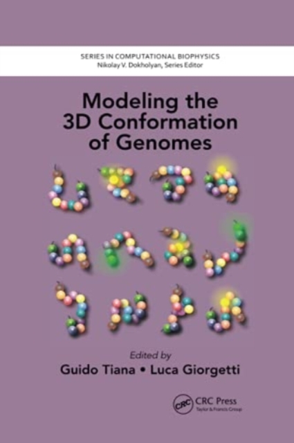 Modeling the 3D Conformation of Genomes: : 9780367780456: WHSmith