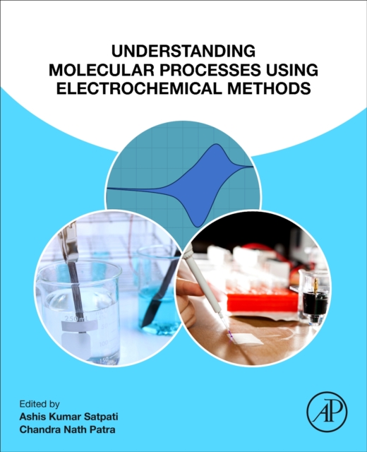 Understanding Molecular Processes using Electrochemical Methods ...