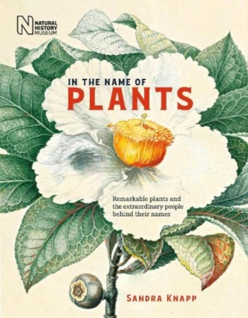 In the Name of Plants : Remarkable plants and the extraordinary people ...