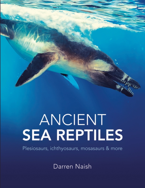Ancient Sea Reptiles : Plesiosaurs, ichthyosaurs, mosasaurs and more ...