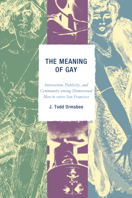 The Meaning of Gay : Interaction, Publicity, and Community among ...