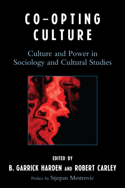 Co-opting Culture : Culture and Power in Sociology and Cultural Studies ...