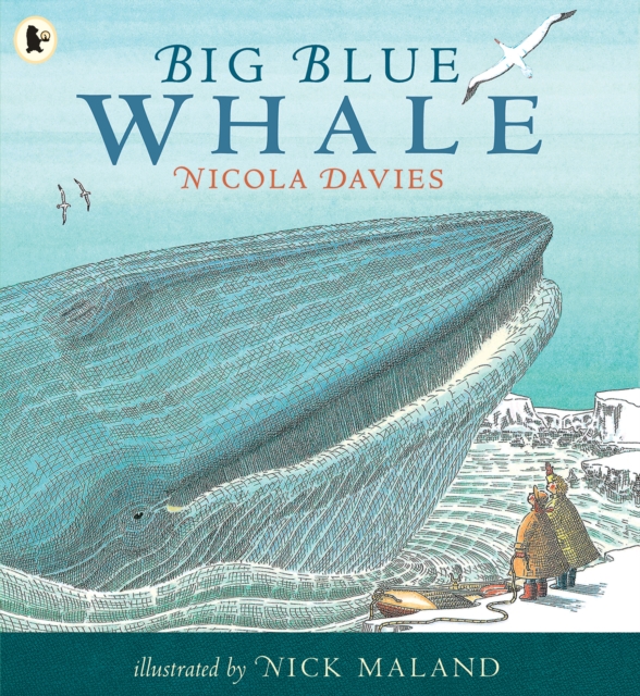 Big Blue Whale : Award-winning picture book about the blue whale, with ...