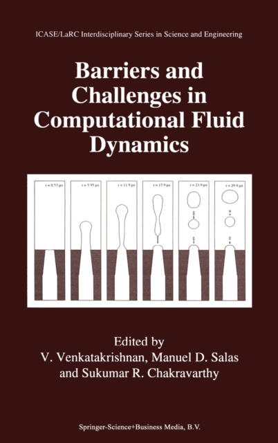 Barriers and Challenges in Computational Fluid Dynamics ...