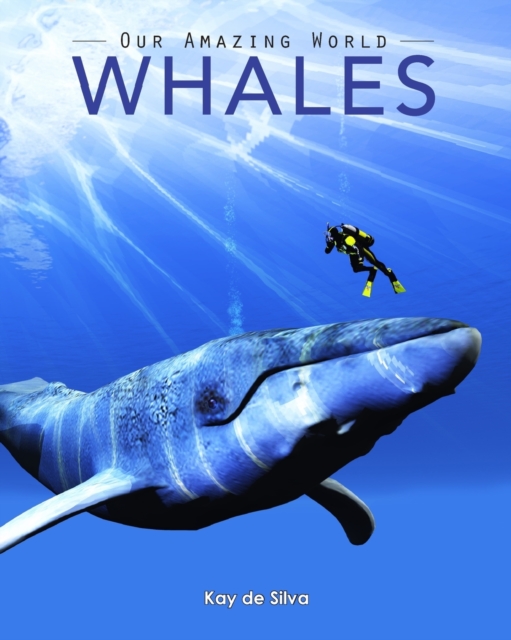 Whales : Amazing Pictures & Fun Facts on Animals in Nature: Kay De ...
