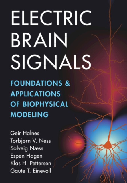 Electric Brain Signals : Foundations and Applications of Biophysical ...