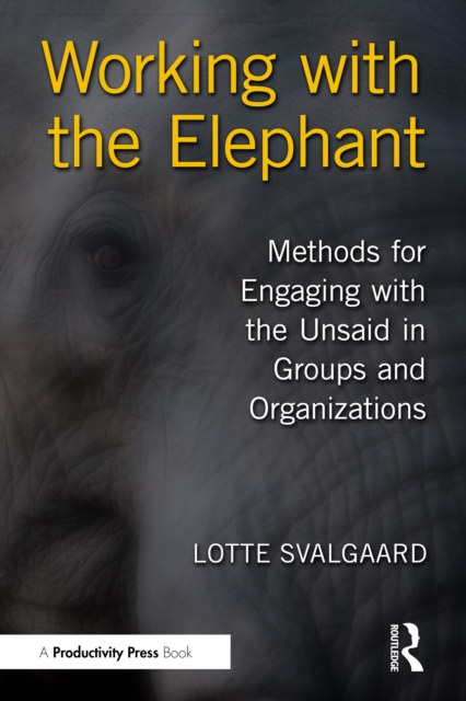 Working with the Elephant : Methods for Engaging with the Unsaid in ...