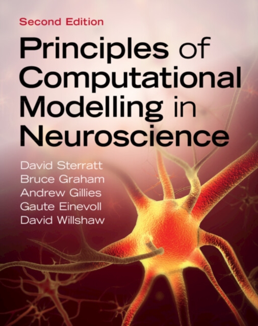 Principles of Computational Modelling in Neuroscience: David ...