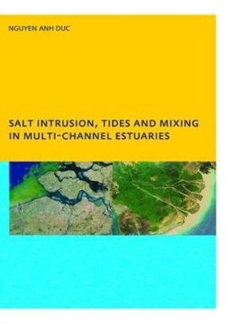 Salt Intrusion, Tides and Mixing in Multi-Channel Estuaries : PhD ...