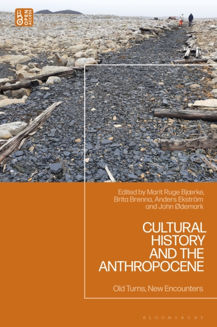 Cultural History and the Anthropocene : Old Turns, New Encounters ...