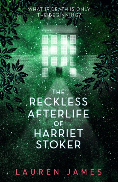 The Reckless Afterlife of Harriet Stoker : A twisty, atmospheric and ...