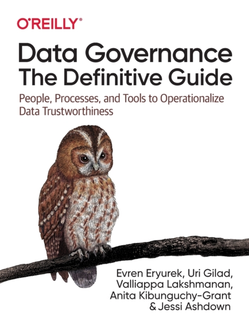 Data Governance: The Definitive Guide : People, Processes, and Tools to ...