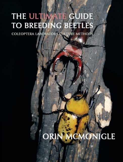 The Ultimate Guide to Breeding Beetles : Coleoptera Laboratory Culture ...
