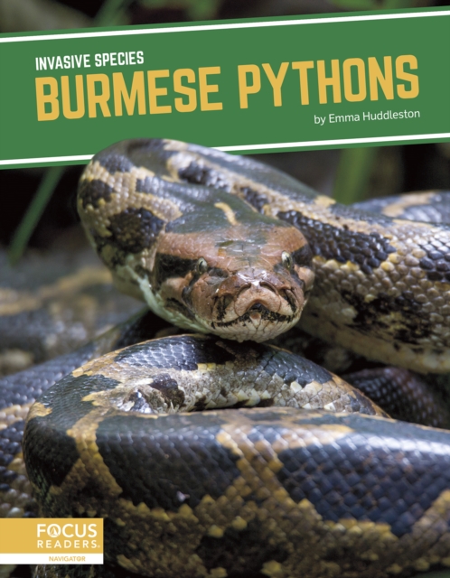 Invasive Species: Burmese Pythons: Emma Huddleston: 9781644939000: TGJones