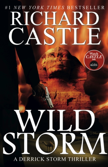 Wild Storm : A Derrick Storm Novel: Richard Castle: 9781783294305: TGJones