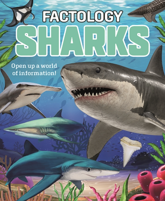 Factology: Sharks : Open Up a World of Information!: Button Books ...