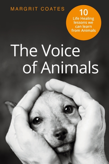 The Voice of Animals : 10 Life-Healing Lessons We Can Learn From ...