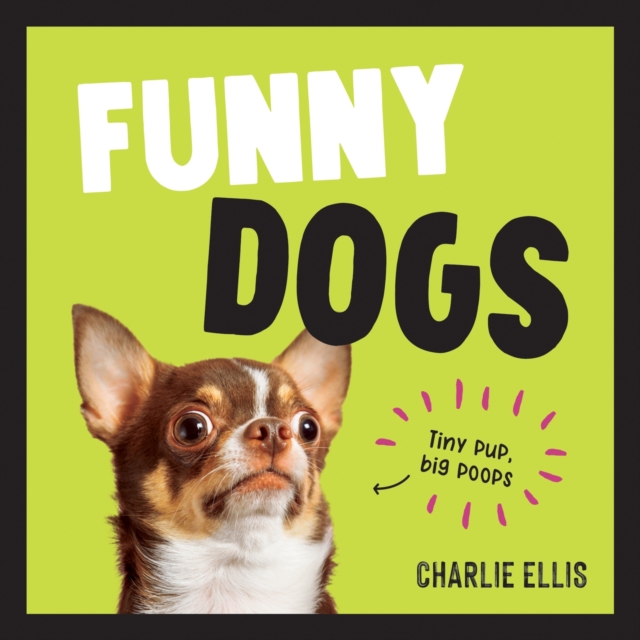 Funny Dogs : A Hilarious Collection of the World’s Silliest Dogs and ...