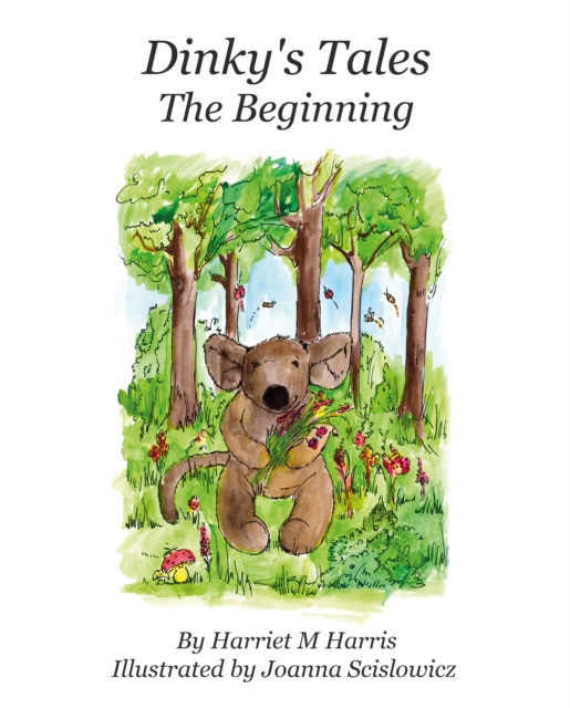 Dinky's Tales: The Beginning: Harriet M Harris: 9781836285878: TGJones