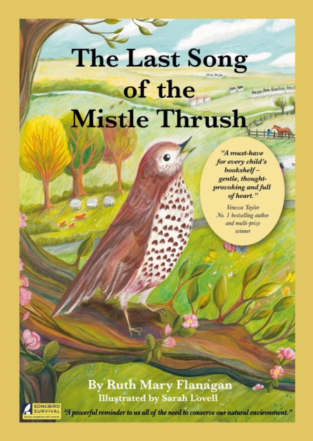 The Last Song of the Mistle Thrush - A timeless and beautifully ...