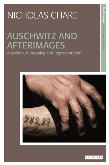 Auschwitz and Afterimages : Abjection, Witnessing and Representation ...