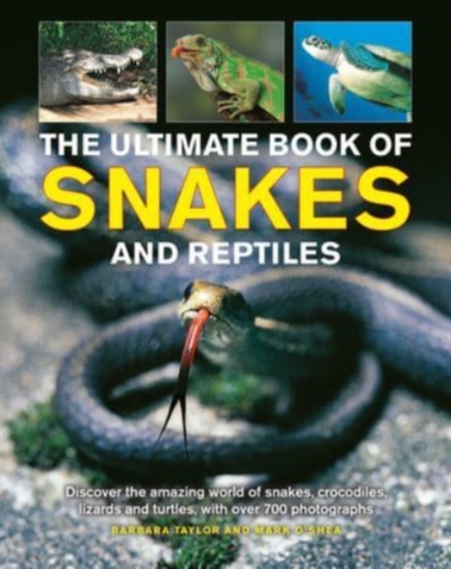 Snakes and Reptiles, Ultimate Book of : Discover the amazing world of ...