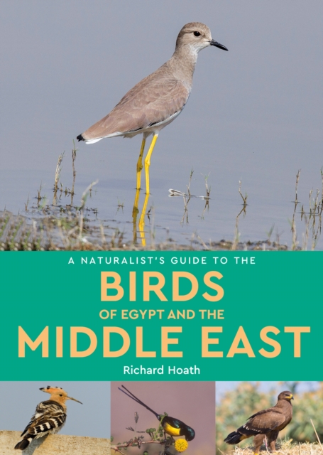 A Naturalist's Guide to the Birds of Egypt and the Middle East: Richard ...