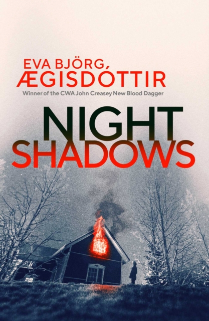 Night Shadows : The twisty, chilling new Forbidden Iceland mystery ...