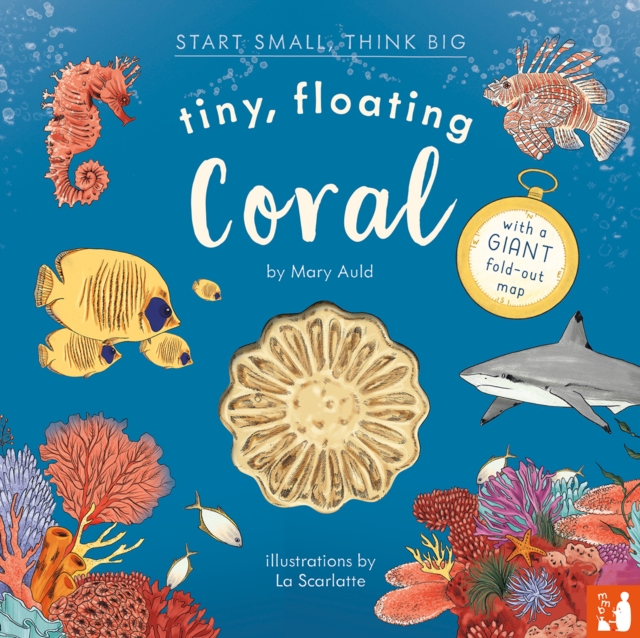 Tiny, Floating Coral : A fact-filled picture book about the life cycle ...