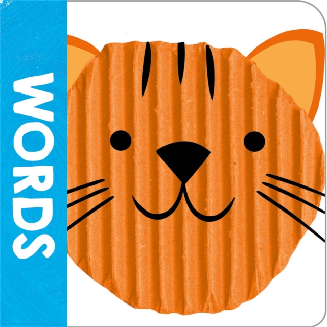 See, Touch, Feel Words (Chunky Set): Priddy Books: 9781917069403: TGJones