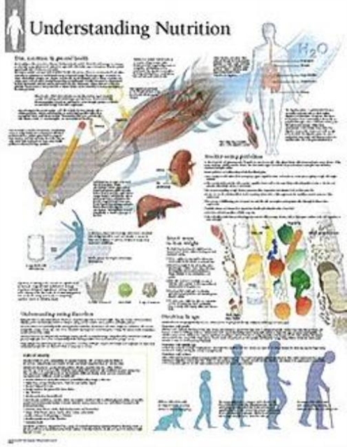 Understanding Nutrition Laminated Poster: Scientific Publishing ...