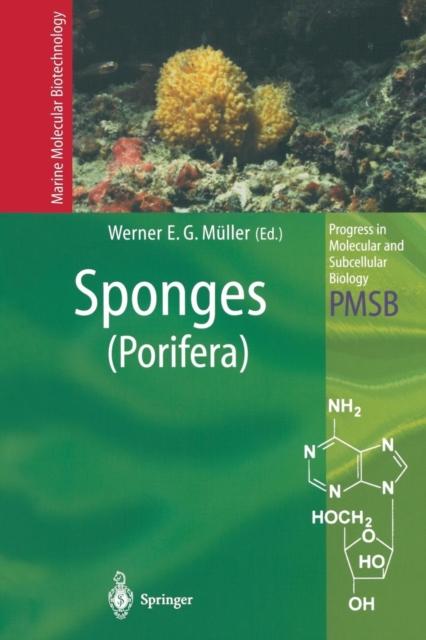 Sponges (Porifera): : 9783642624711: TGJones