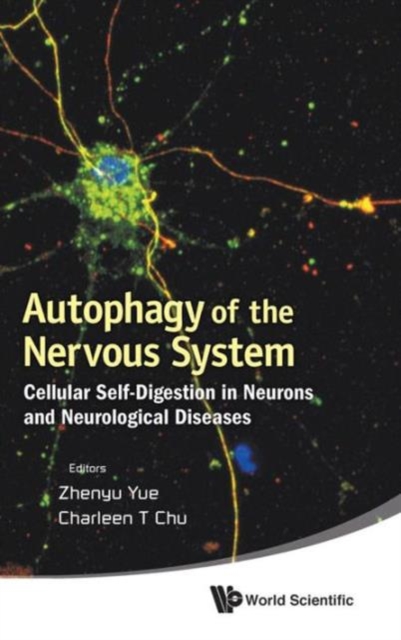 Autophagy Of The Nervous System: Cellular Self-digestion In Neurons And ...
