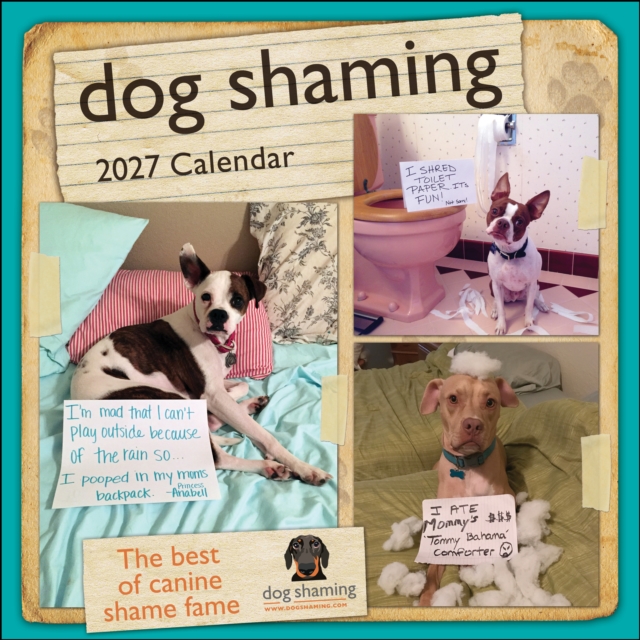 Dog Shaming 2027 Wall Calendar: Pascale Lemire: 9798881609498: TGJones